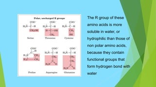 Classification of amino acids | PPTX