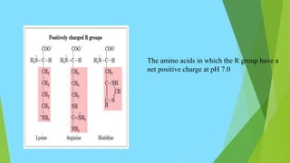 Classification of amino acids | PPTX