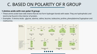 Classification of Amino Acid...pptx