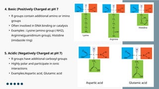 Classification of Amino Acid...pptx
