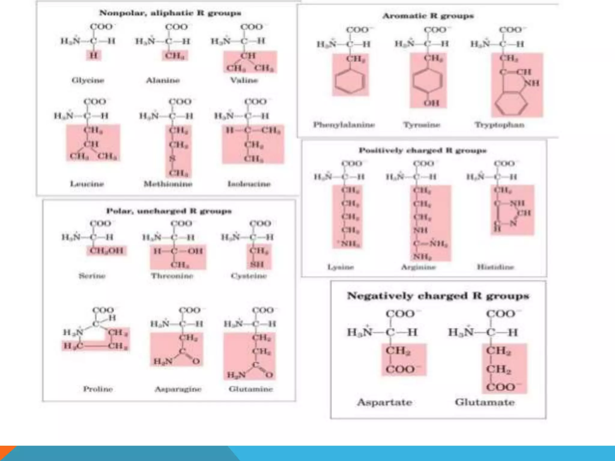 Classification of aminoacids based on charge and polarity.pptx