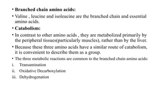 Classification of Amino Acids based on Metabolic Fate.pptx