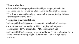 Classification of Amino Acids based on Metabolic Fate.pptx