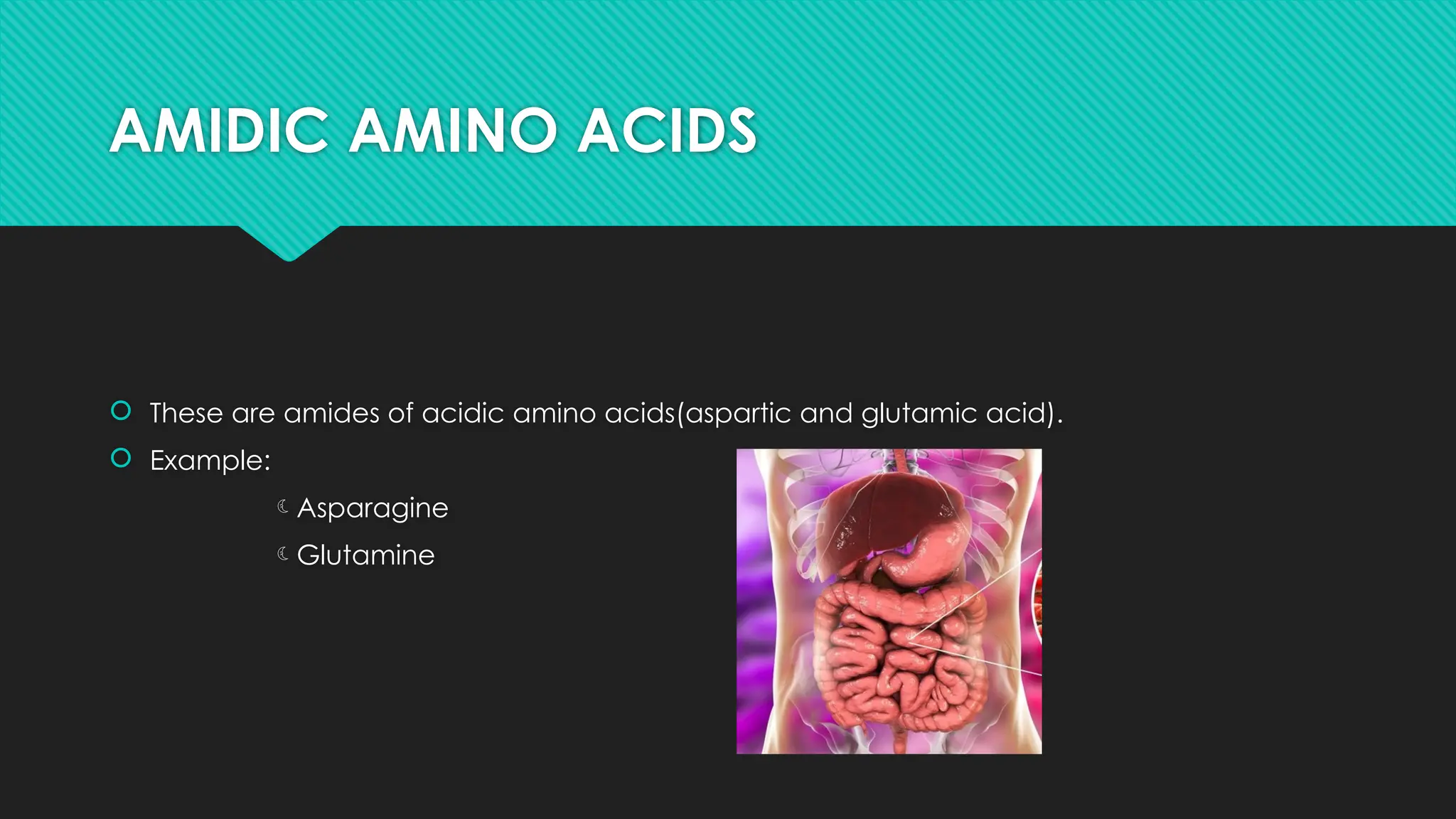 classification of amino acids(DEV) ssr medical college bakchodi.pptx