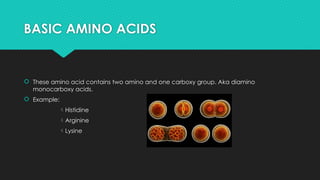 classification of amino acids(DEV) ssr medical college bakchodi.pptx