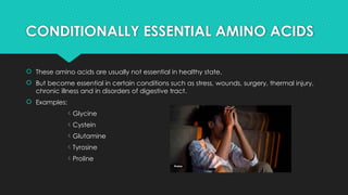 classification of amino acids(DEV) ssr medical college bakchodi.pptx