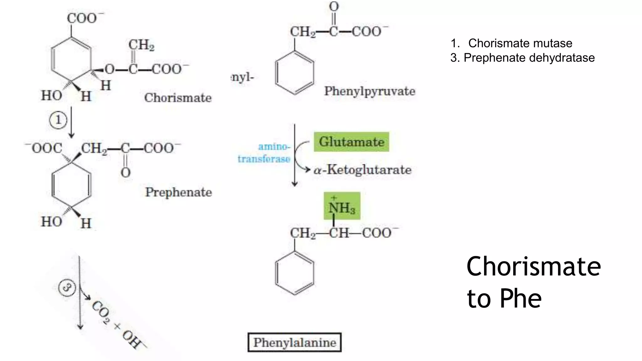 Classification of amino acids Prashant.pptx