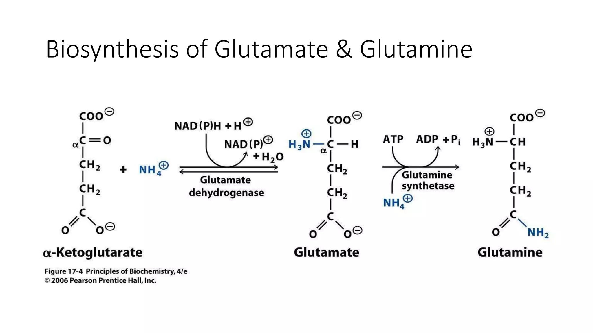 Classification of amino acids Prashant.pptx