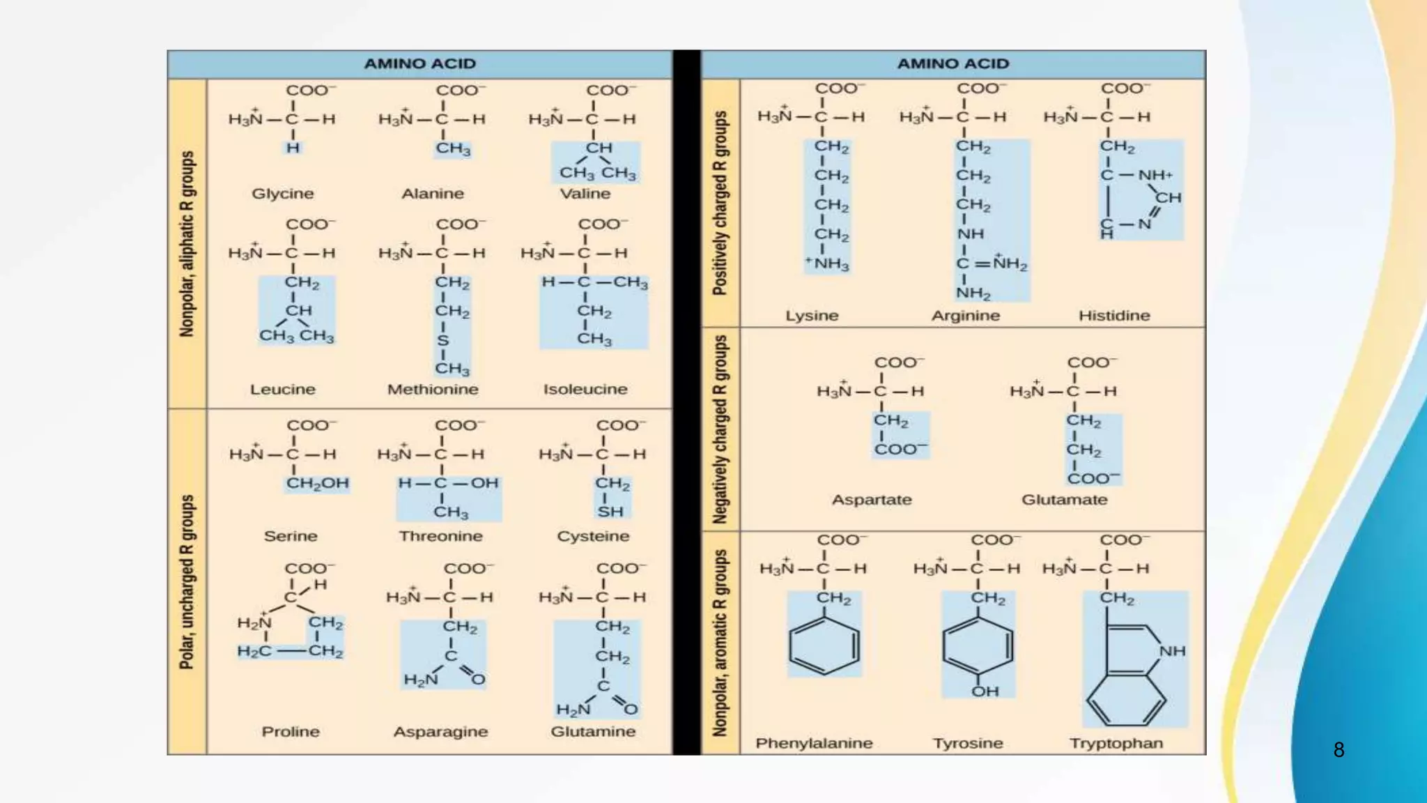 Classification of amino acids | PPTX