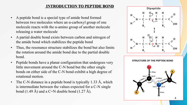 Classification of amino acids | PPTX | Chemistry | Science
