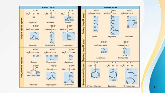 Classification of amino acids | PPTX | Chemistry | Science