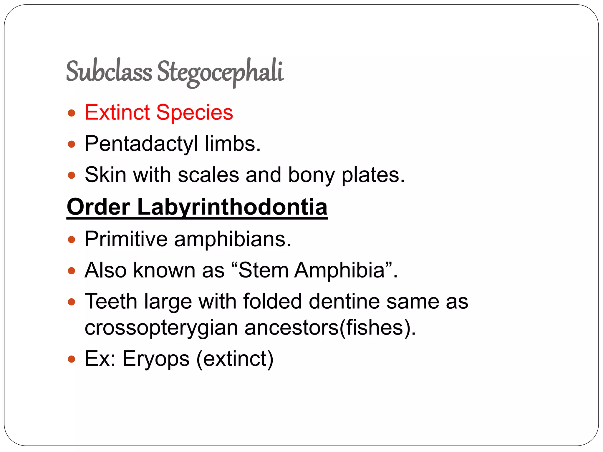 Classification of amphibia | PPTX