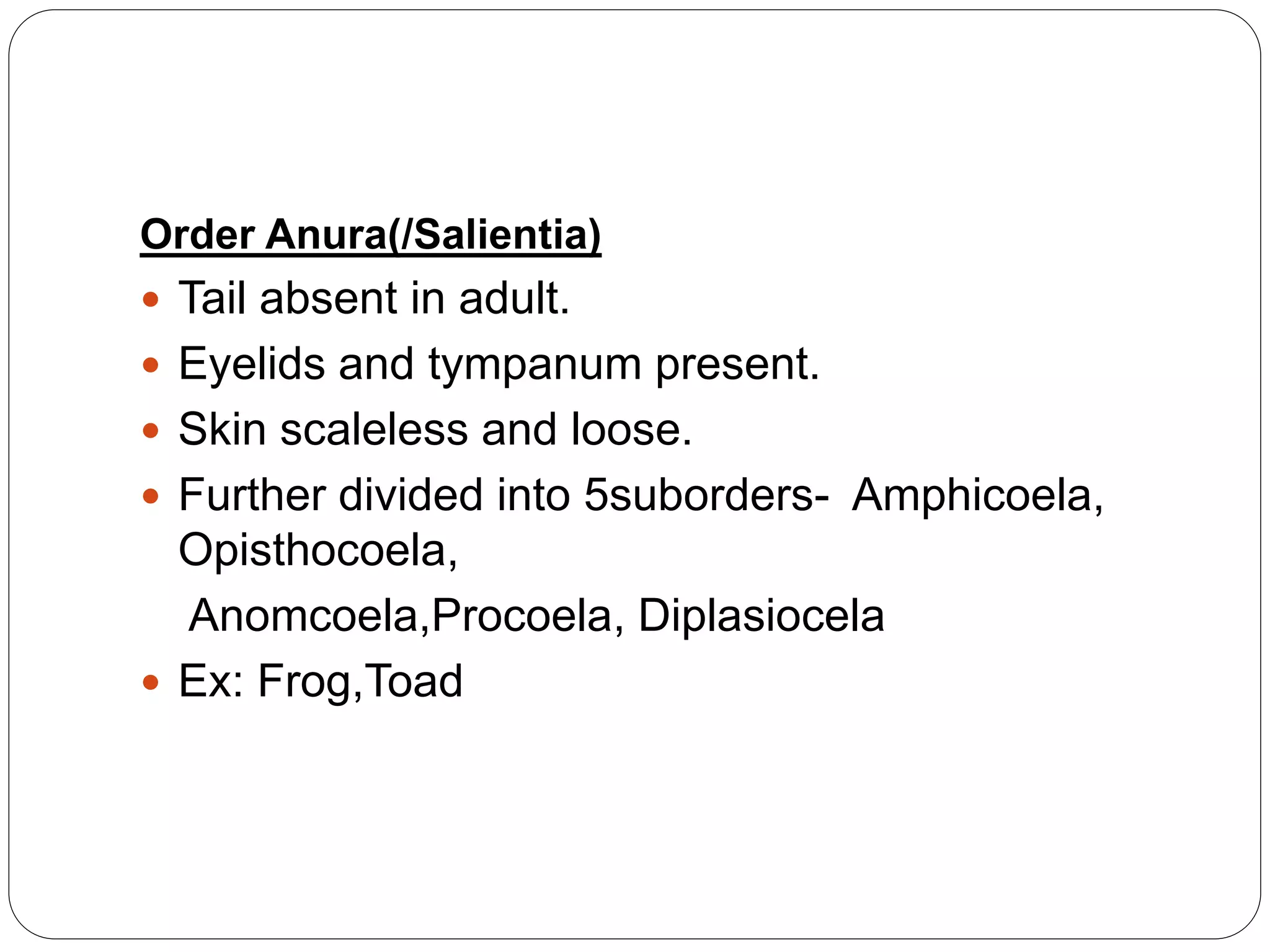 Classification of amphibia | PPTX