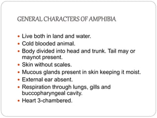 Classification of amphibia | PPTX