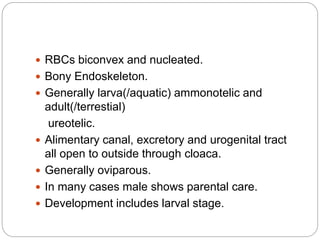 Classification of amphibia | PPTX