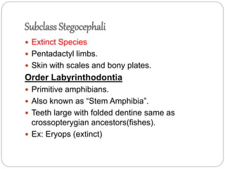 Classification of amphibia | PPTX