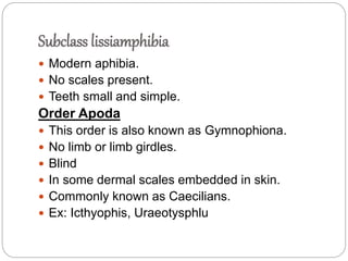 Classification of amphibia | PPTX