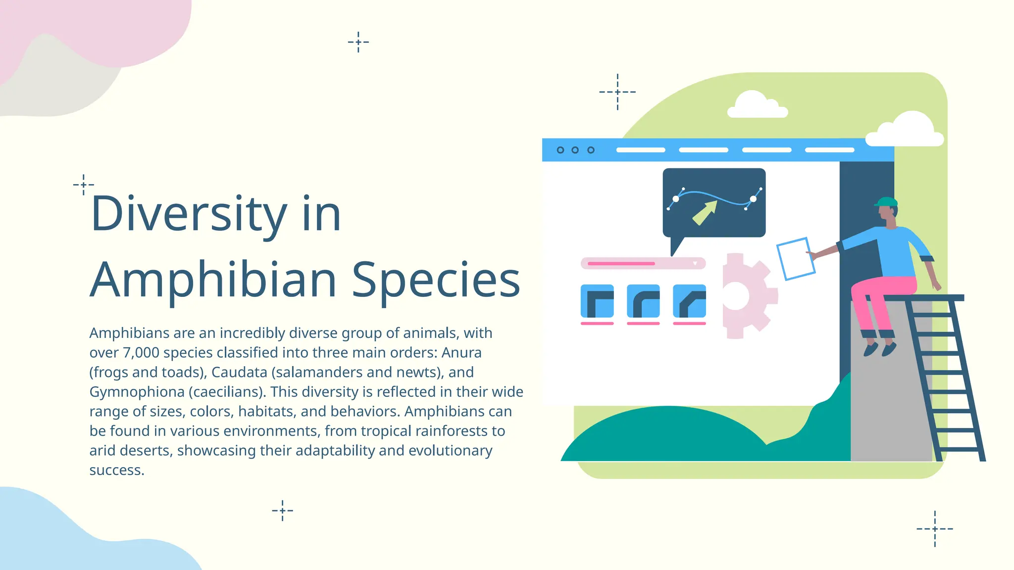 Classification of Amphibian creature of animal kindom | PPT