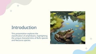 Classification of Amphibian creature of animal kindom | PPT