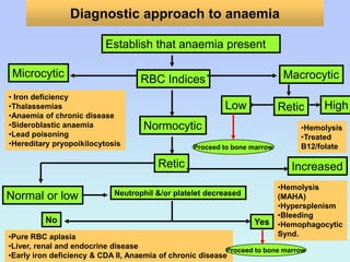 classification of aneamias by class1-1.pdf