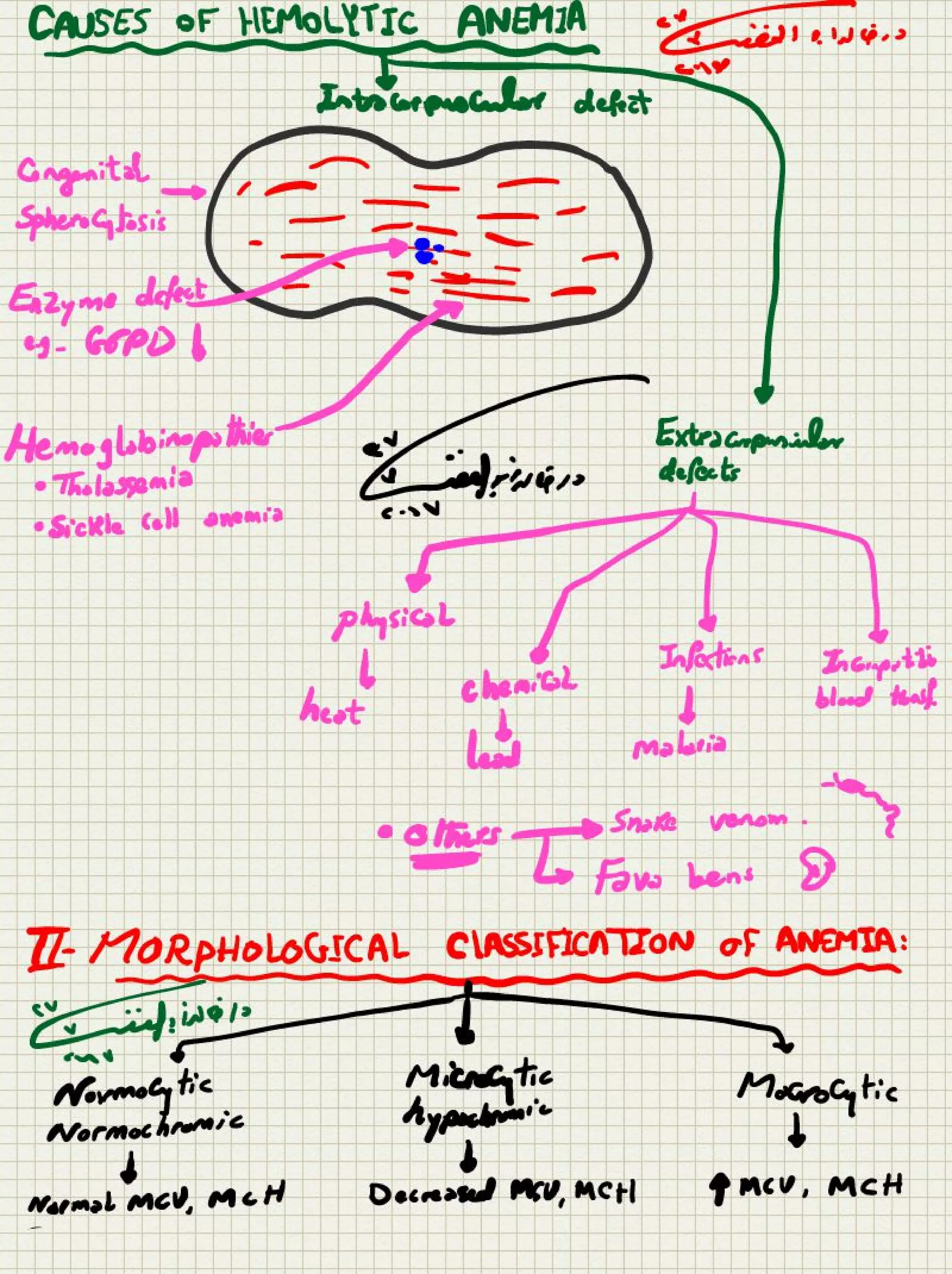 Classification of anemia (8-2017) by dr khaled a abulfadle | PDF