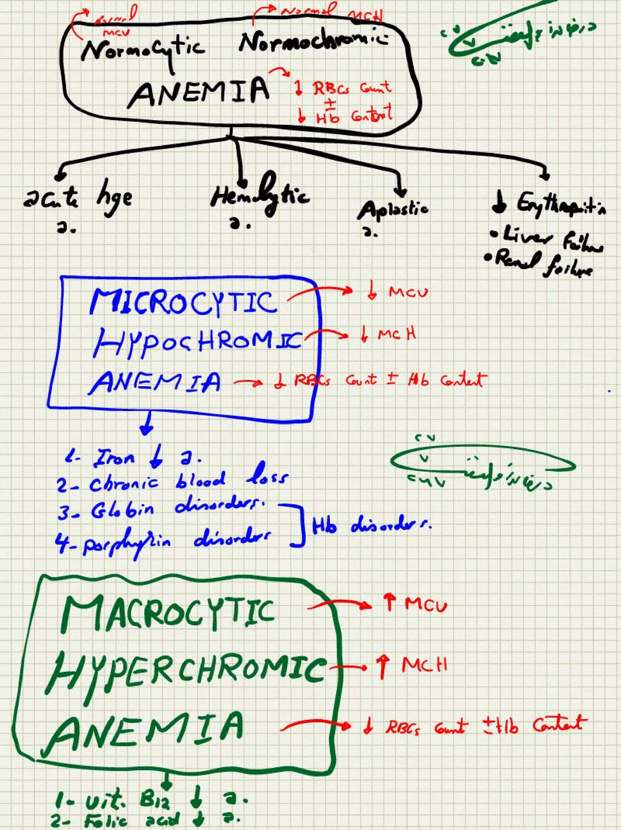 Classification of anemia (8-2017) by dr khaled a abulfadle | PDF