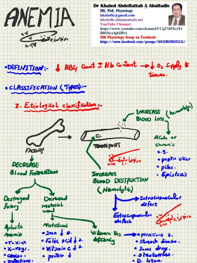 Classification of anemia (8-2017) by dr khaled a abulfadle | PDF