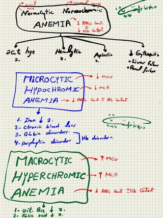 Classification of anemia (8-2017) by dr khaled a abulfadle | PDF