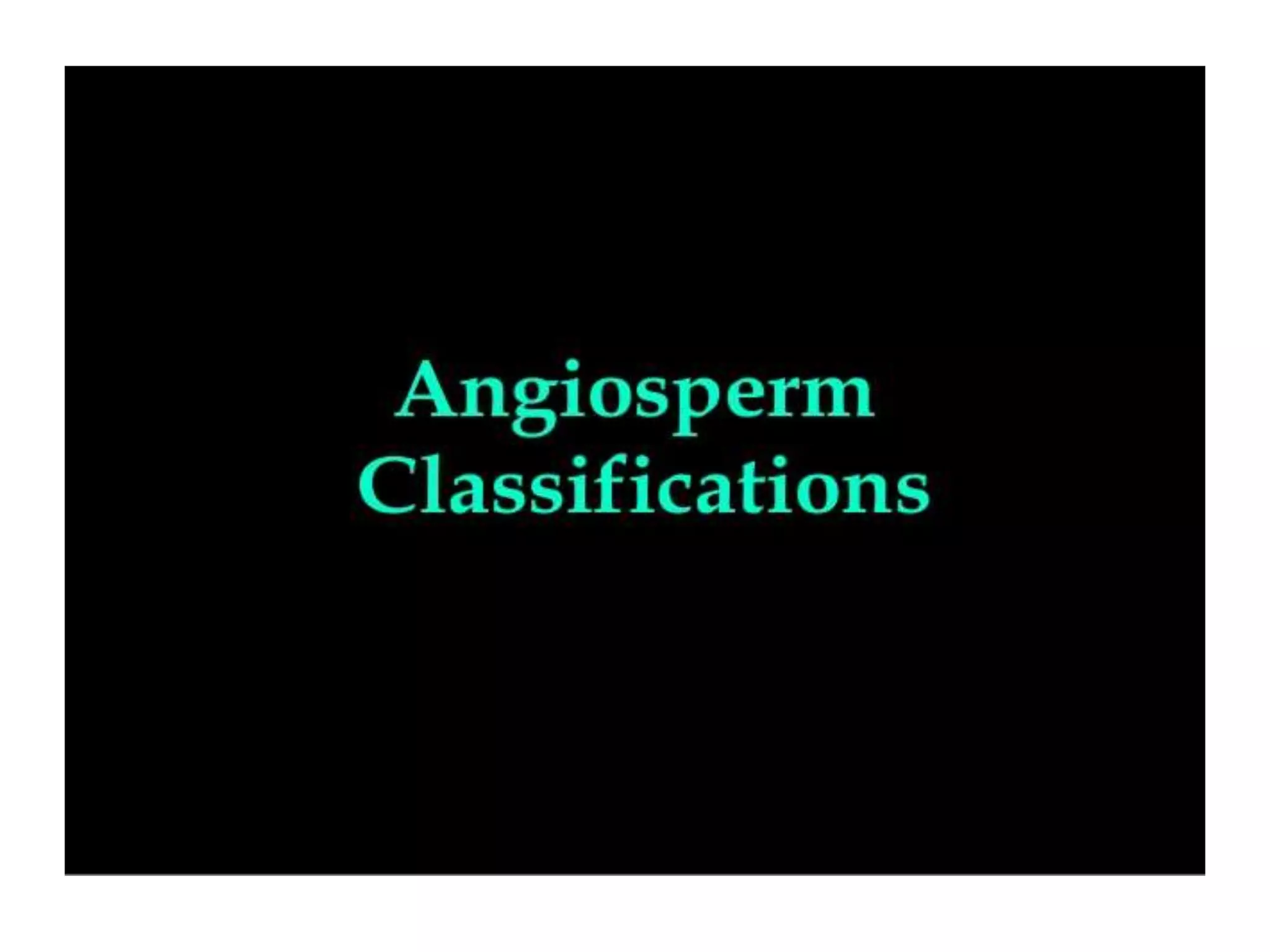 Classification of angiosperm | PPTX
