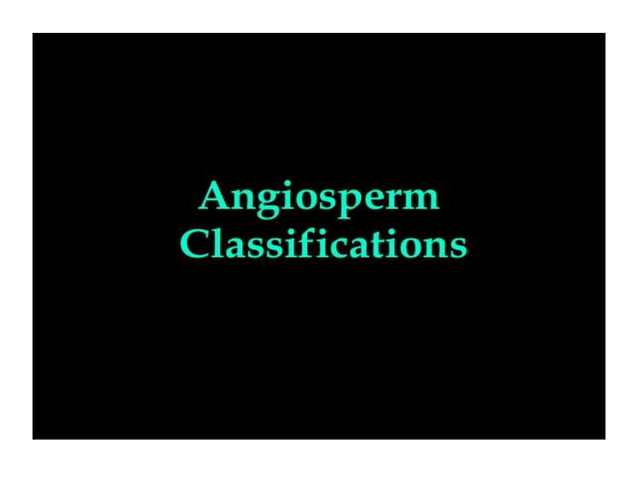 Classification of angiosperm | PPT