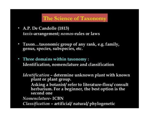 Classification of angiosperm | PPT