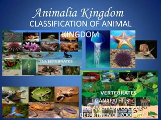 Classification of animal kingdom | PPTX