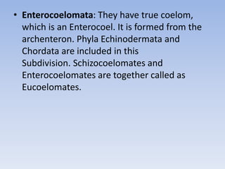 Classification of animal kingdom | PPTX