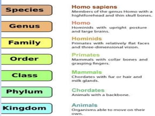 Classification of animal kingdom | PPTX