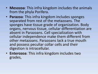 Classification of animal kingdom | PPTX | Biological Sciences | Science