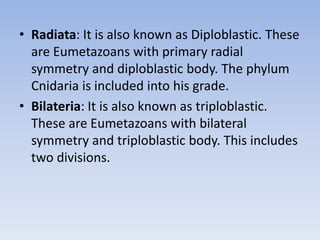 Classification of animal kingdom | PPTX