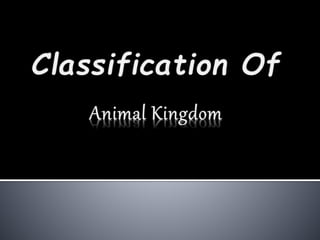 Classification Of Animal Kingdom syllabus.pptx