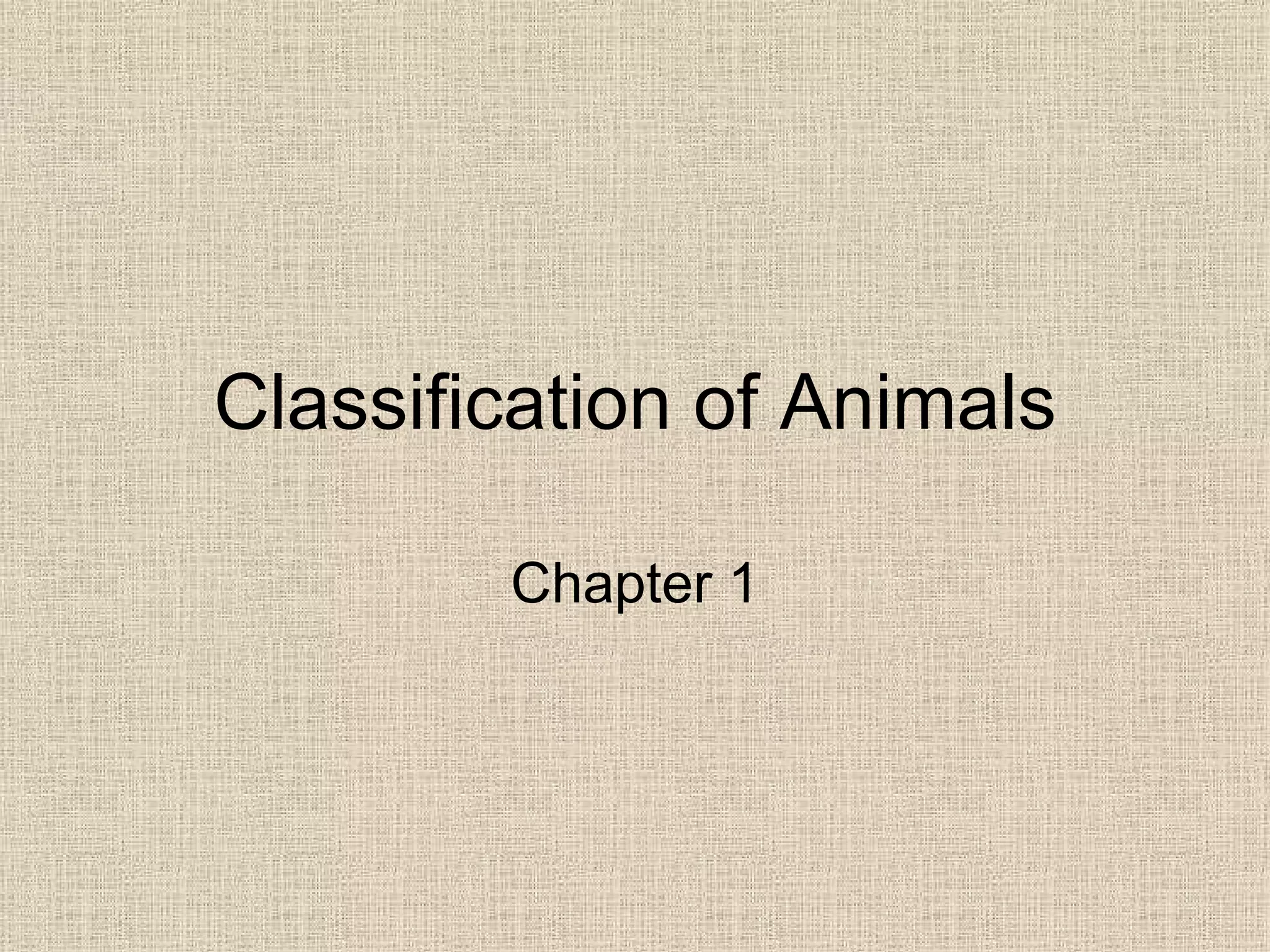animals | PPT
