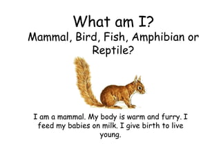 Classification of animals | PPT