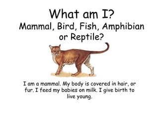 Classification of animals | PPT