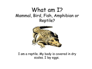 Classification of animals | PPT