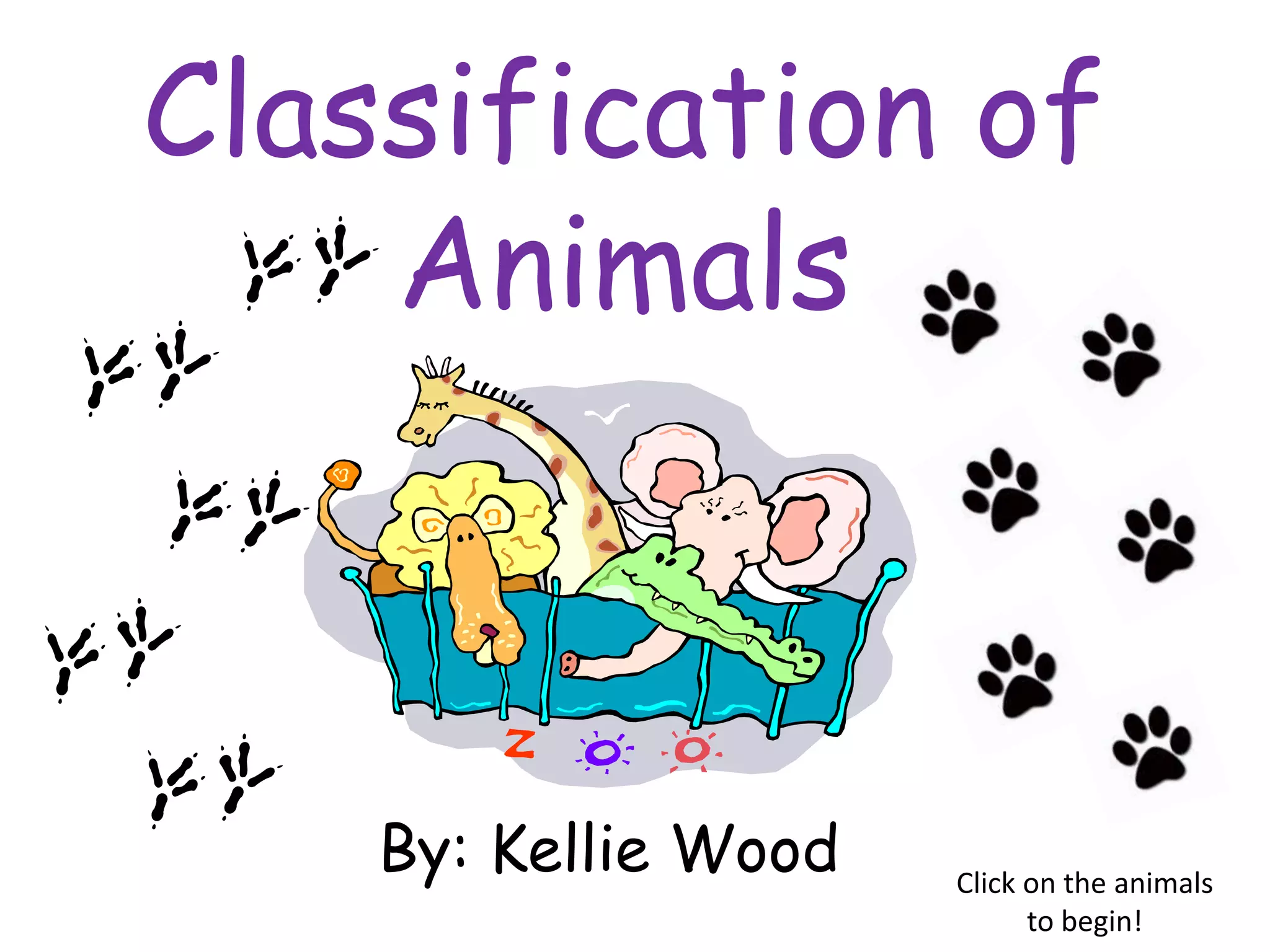 Classification Of Animals | PPTX