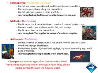 Classification Of Animals | PPTX