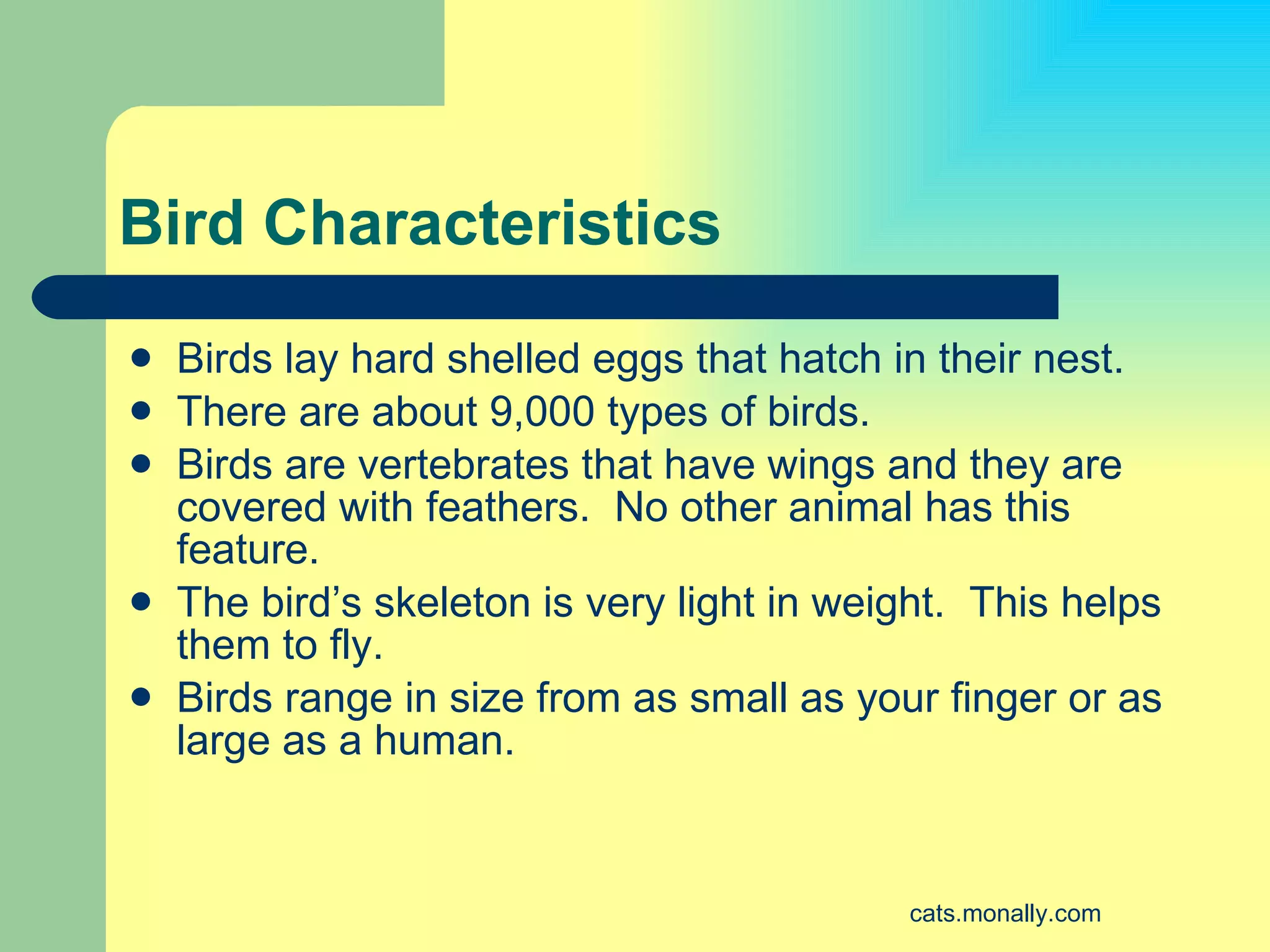 Classificationofanimals | PPT