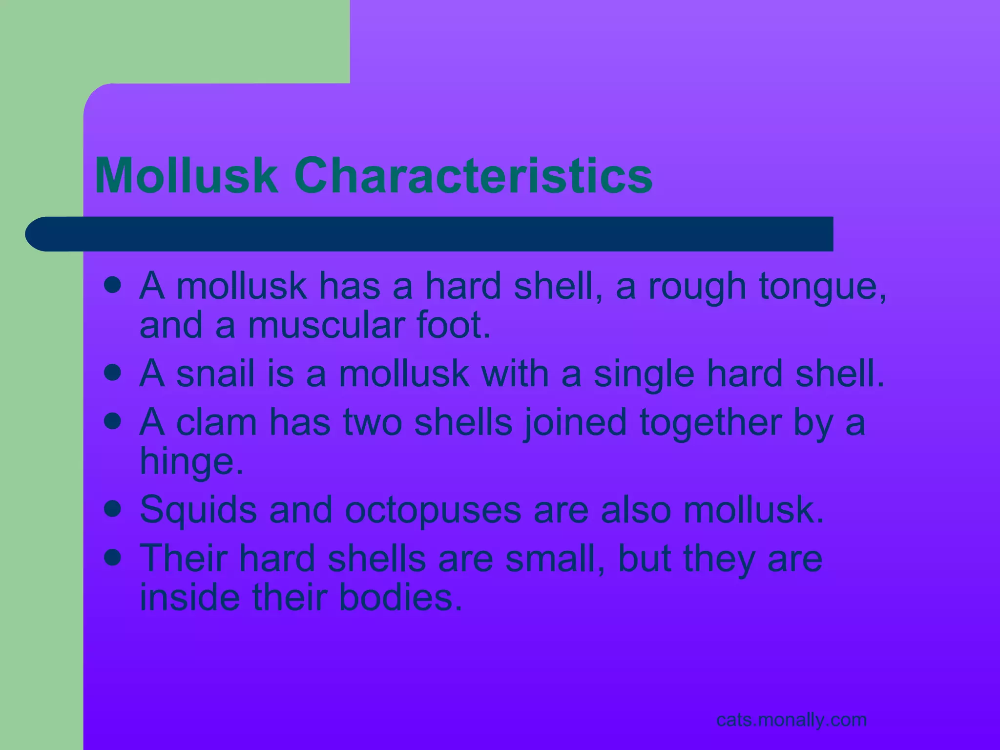 Classificationofanimals | PPT