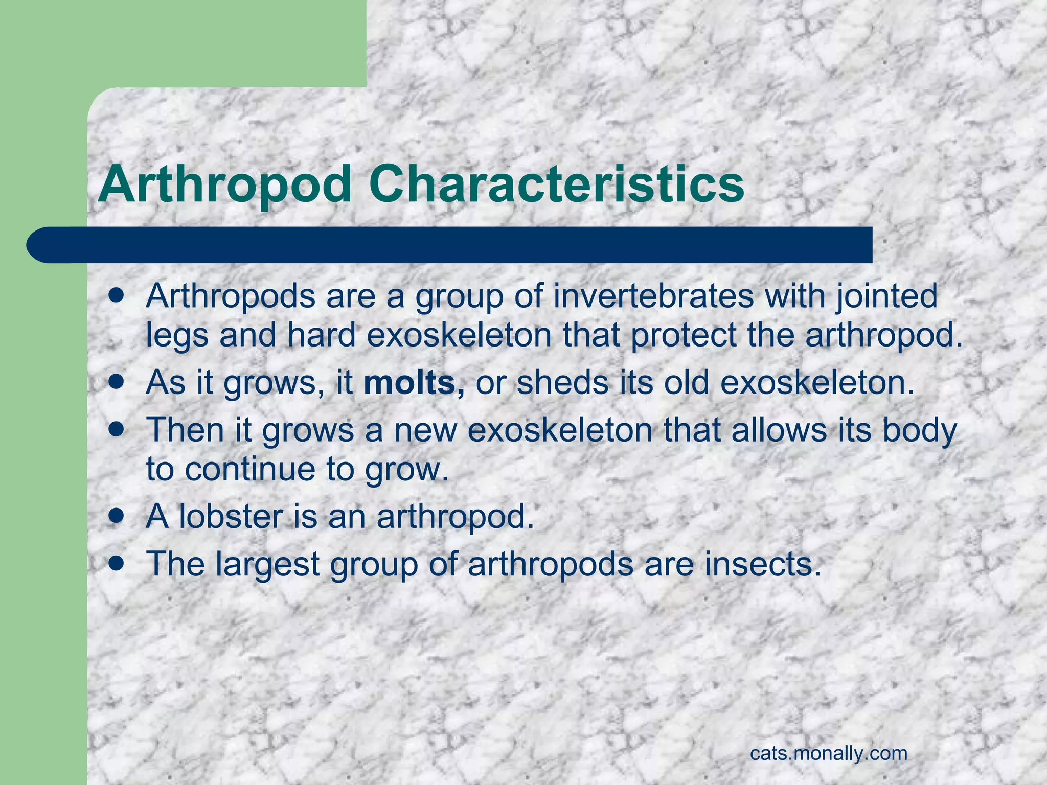 Classificationofanimals | PPT