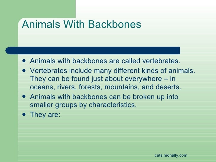 Classificationofanimals