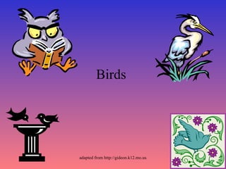 Classification of animals | PPT