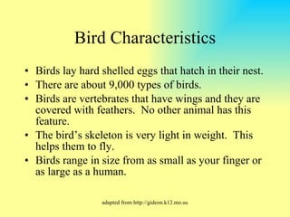 Classification of animals | PPT