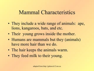 Classification of animals | PPT